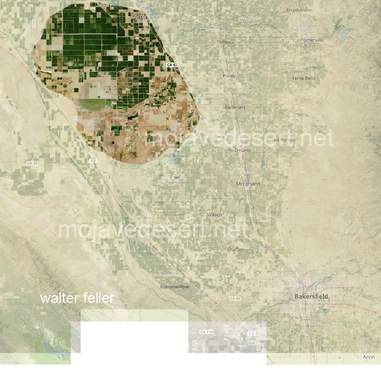 Tulare Lake – Vanished | Desert Gazette