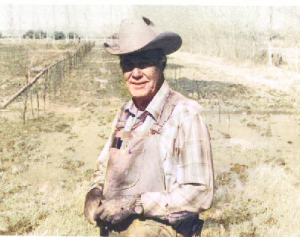 Desert Gazette – Page 2